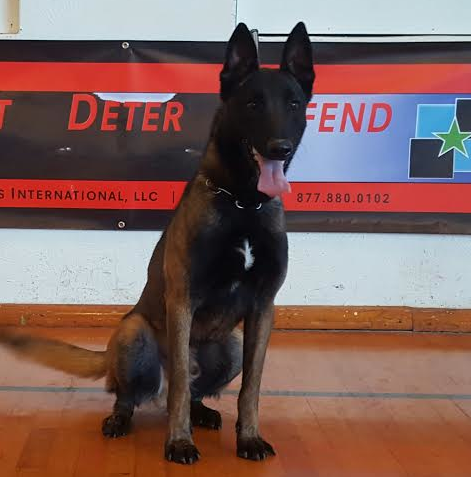 OFFICIAL - DEA & ATF Federally Licensed Law Enforcement Training Center ...