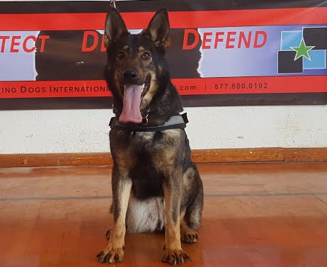 OFFICIAL - DEA & ATF Federally Licensed Law Enforcement Training Center ...