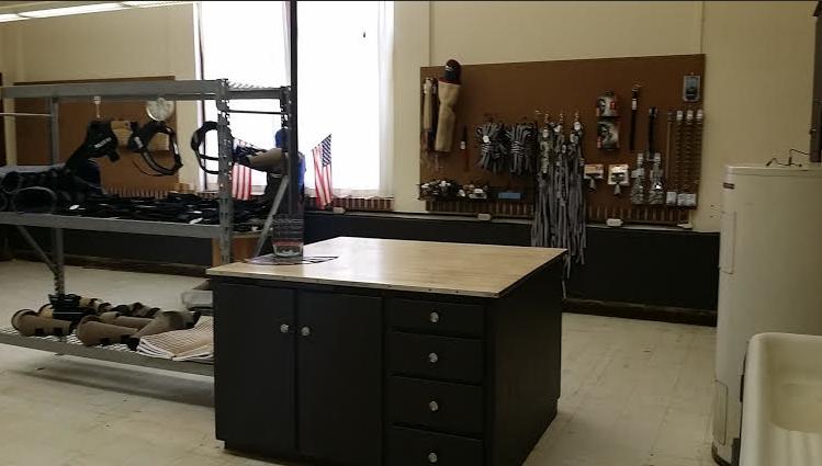 K9 Working Dogs International is a Police Service Dog Supplier and ...